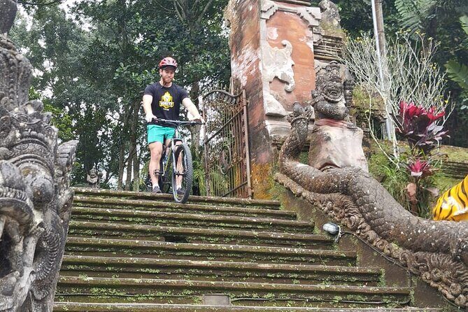 Experience Cycling Tour to Bali UNESCO Heritage Site in Jatiluwih - Who Will Enjoy This Tour Most?