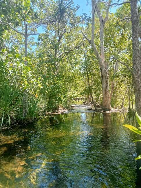 Experience Darwin's Best: Jumping Crocodiles and Litchfield - The Sum Up
