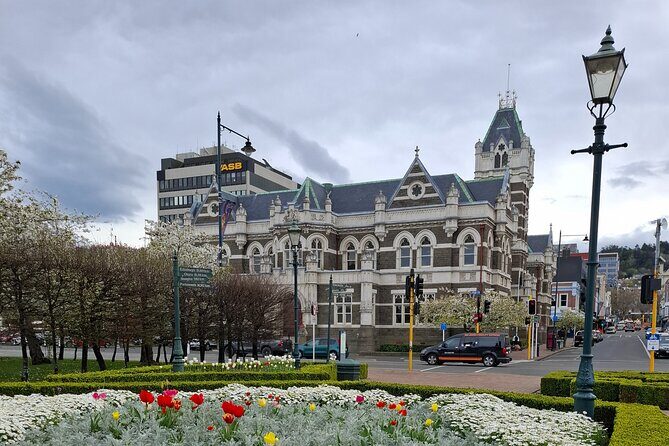 Experience Dunedin and Otago Peninsula Tours up to 8 people - Key Points