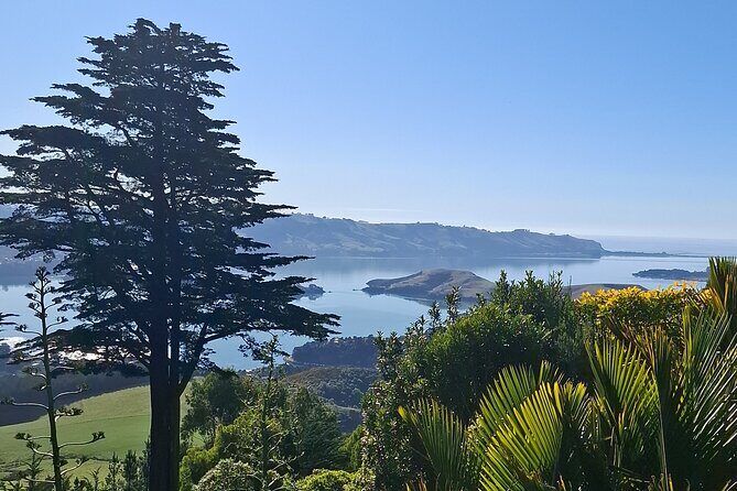 Experience Dunedin and Otago Peninsula Tours up to 8 people - The Sum Up