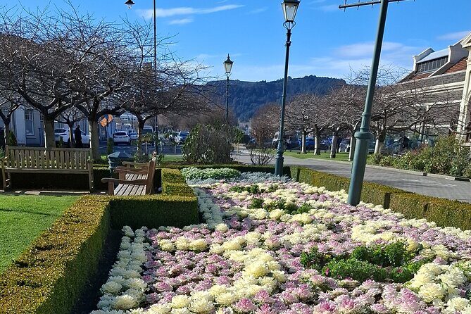 Experience Dunedin and Otago Peninsula Tours up to 8 people - FAQ