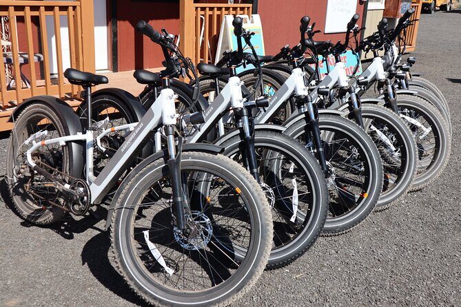Experience E-Bike with Wine Tasting Activity - Authentic Experiences from Participants