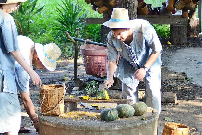 Experience Elephant Sanctuary + Sticky Waterfall - In Closing