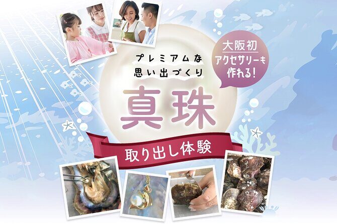Experience Extracting Pearls From Akoya Oystersosaka - The Experience in Detail