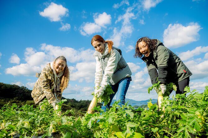 Experience farming (rice cultivation) in terraced rice paddies - Key Points