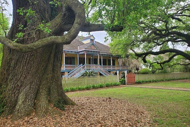 Experience Full-Day Laura Plantation & Pontoon Swamp Tour w/Transportation - The Sum Up