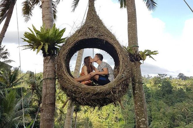 Experience Full Day to Bali Swing Temple and Monkey Forest - Who Should Consider This Tour?