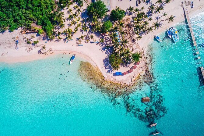 Experience Full Day Tour of Tropical Bliss at Isla Saona - What to Expect on the Full Day Tour of Isla Saona