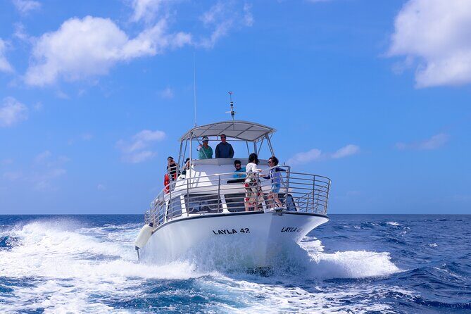 Experience Guam Dolphin Cruise - Transport and Group Size