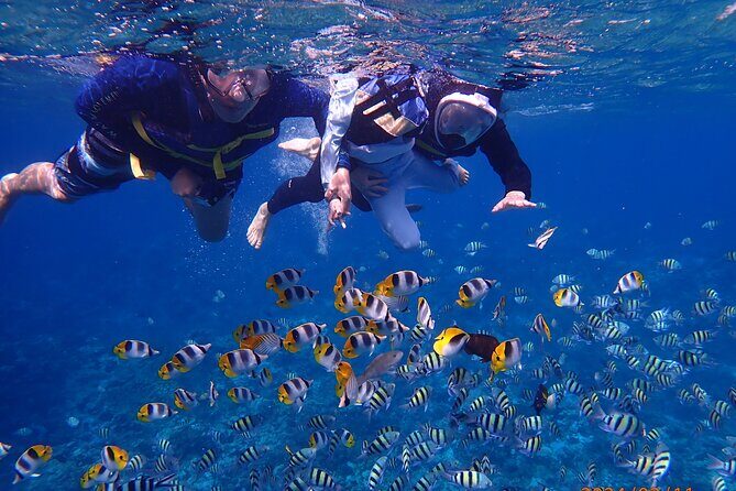 Experience Guam Dolphin Cruise - Pricing and Value