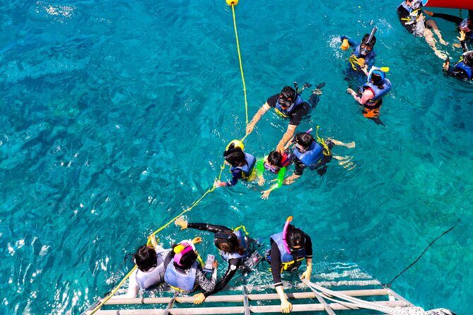 Experience Guam Dolphin Cruise - Suitability and Who Should Consider This Tour