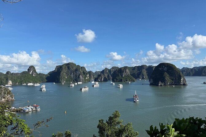 Experience Halong Bay Discovery Day Cruise Trip From Cai Lan Port - Authentic Experiences and Traveler Insights