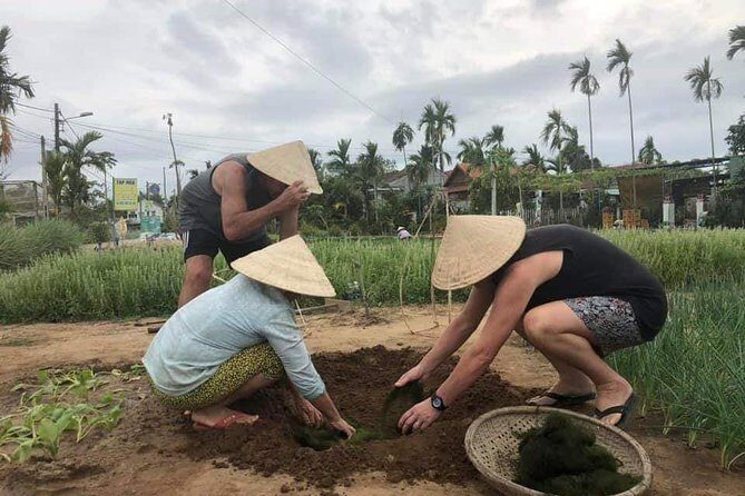 Experience Hoi an Countryside Village Tour by Jeep from Hoi An - Who Should Consider This Tour?