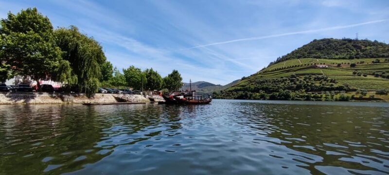 Experience in Pinhão: Wine Tasting, Lunch and Rabelo Boat - Who Will Love This Tour?