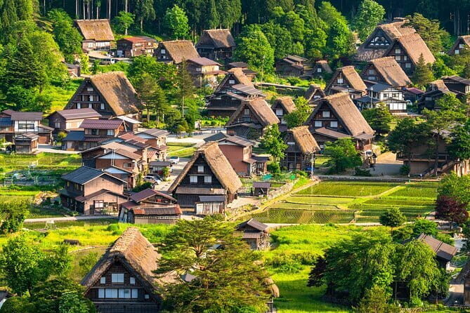 Experience Japanese Culture and Enjoy Yakiniku and Sake - Final Thoughts
