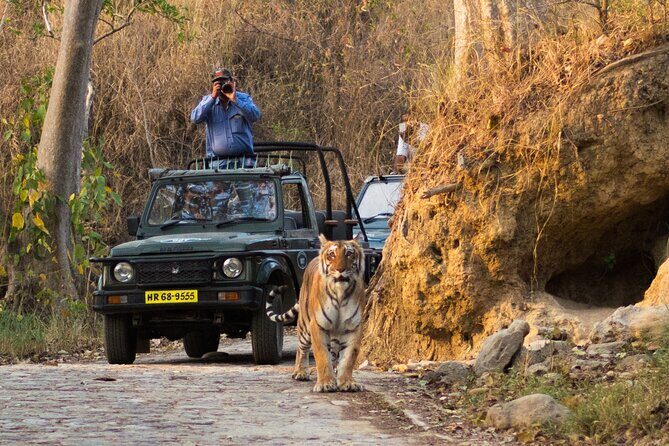 Experience Jungle Nights: Stay in Jim Corbett National Park's FRH - Key Points