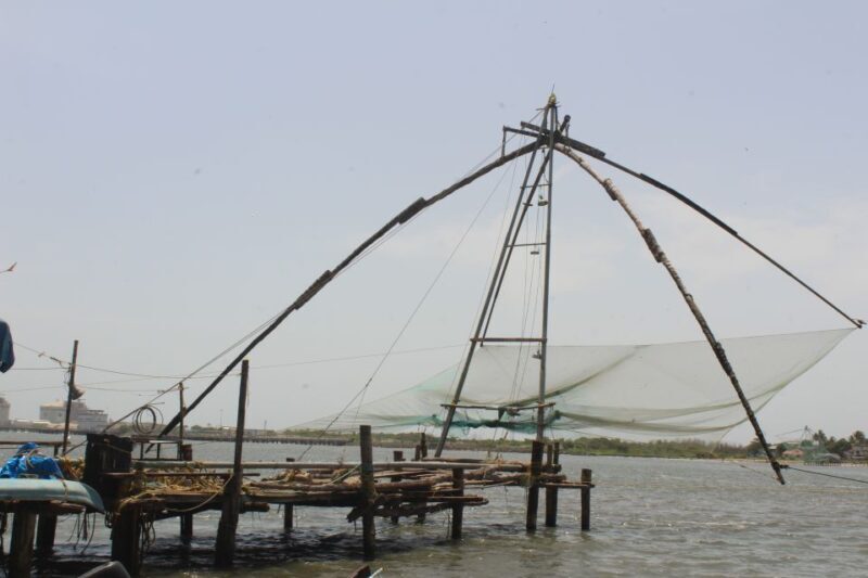 Experience Kochi in Car + Tuk Tuk + Guided Heritage Tour - The Sum Up