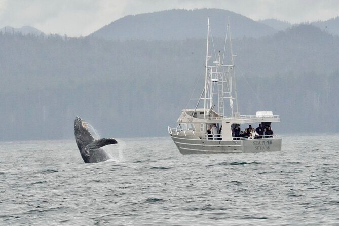 Experience Local Marine Wildlife Tour - Who Should Consider This Tour?