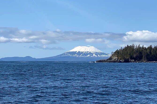 Experience Local Marine Wildlife Tour - Final Thoughts: Why It’s Worth Considering