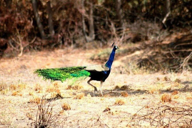 Experience local village life in Sindh - Authenticity and Value of the Tour