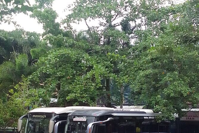 Experience Lombok with Private Car Transport - Authentic, Personalized, and Stress-Free Exploration