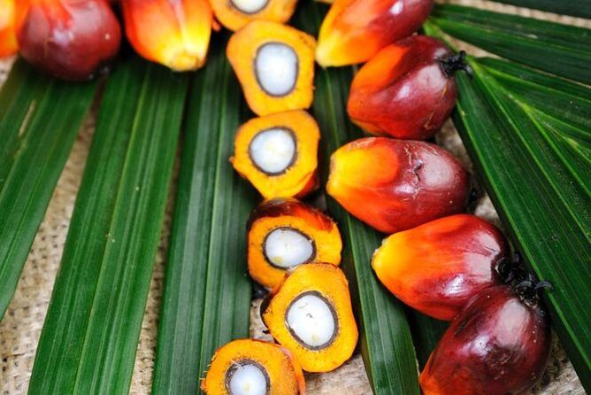 Experience Malaysia: Authentic Malaysia Cooking Tour - Key Points