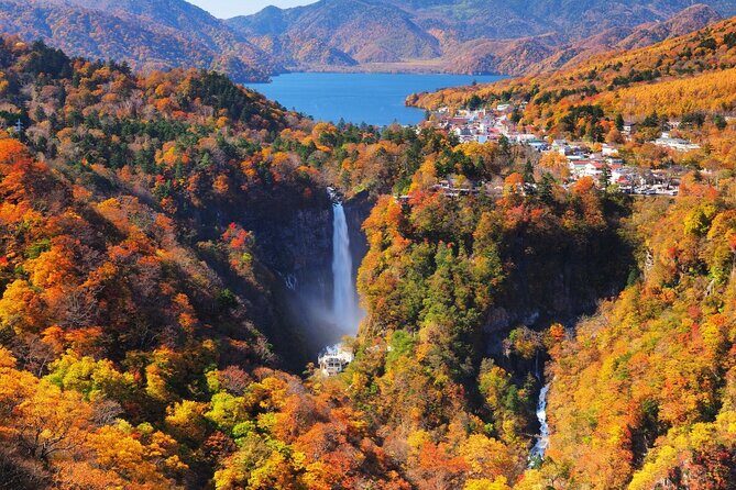 Experience Nature and Culture Private Day Tour in Nikko - What to Expect From Your Day