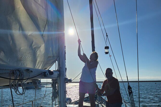 Experience Oceanside Sailing with Whales and dolphins! - Booking and Practicalities