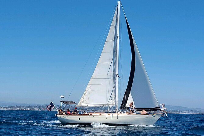 Experience Oceanside Sailing with Whales and dolphins! - Authenticity and Authentic Encounters
