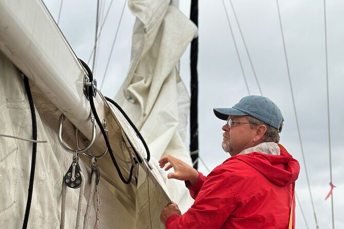 Experience Oceanside Sailing with Whales and dolphins! - FAQ