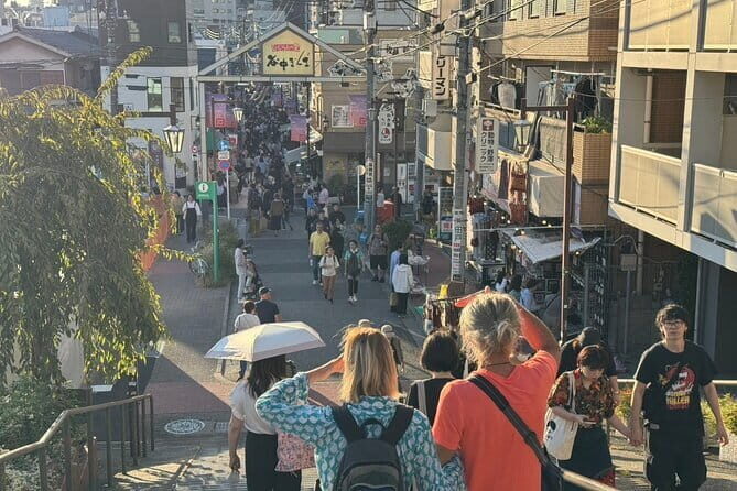 Experience Old Tokyo: Cultural Walk in Yanaka - A Deep Dive into the Old Tokyo Experience