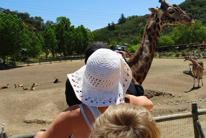 Experience our redwoods and wild Safari outdoor adventure - Who Is This Tour Best For?