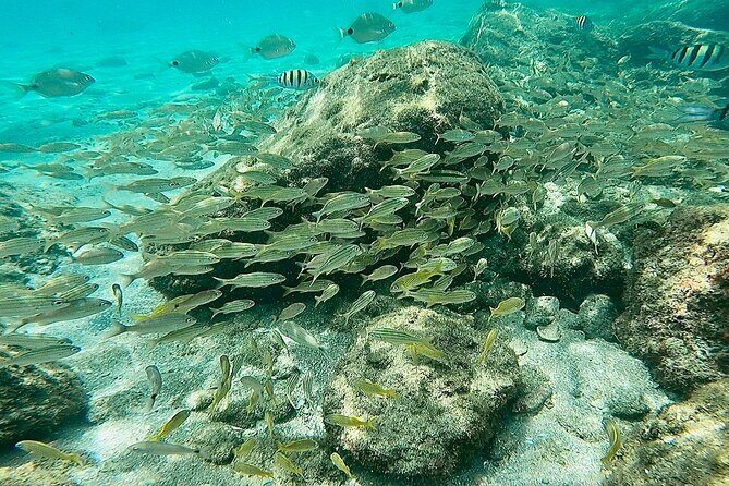 Experience Peanut Island Adventures - How the Experience Works