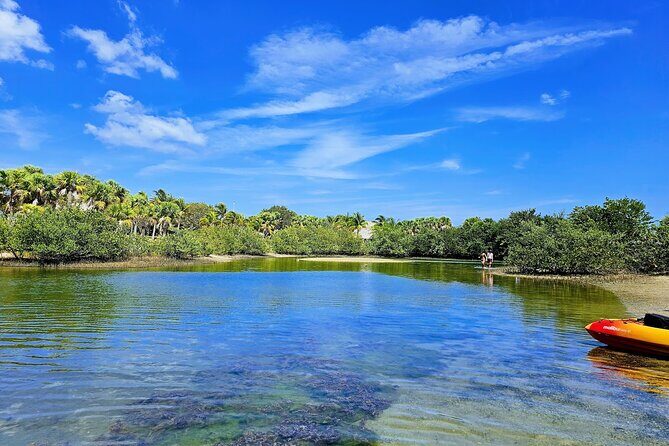 Experience Peanut Island Adventures - What Makes This Tour Special