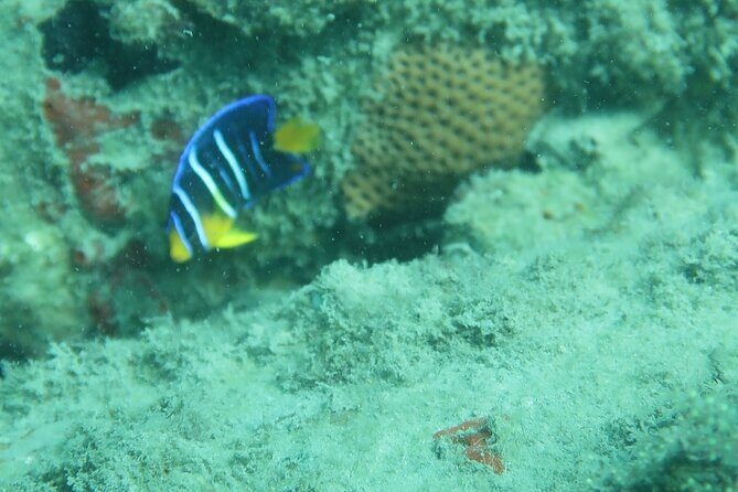Experience Peanut Island Adventures - A Closer Look at the Itinerary