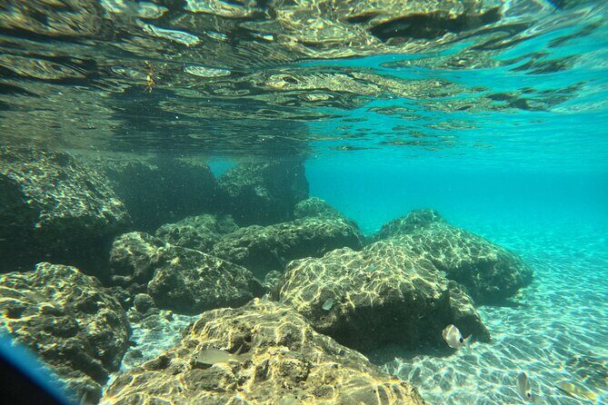 Experience Peanut Island Adventures - Practical Tips for Travelers