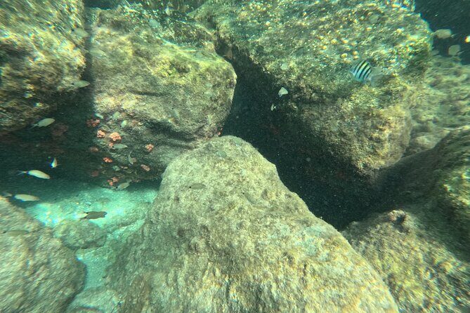 Experience Peanut Island Adventures with Go Pro - What You Can Expect from the Tour