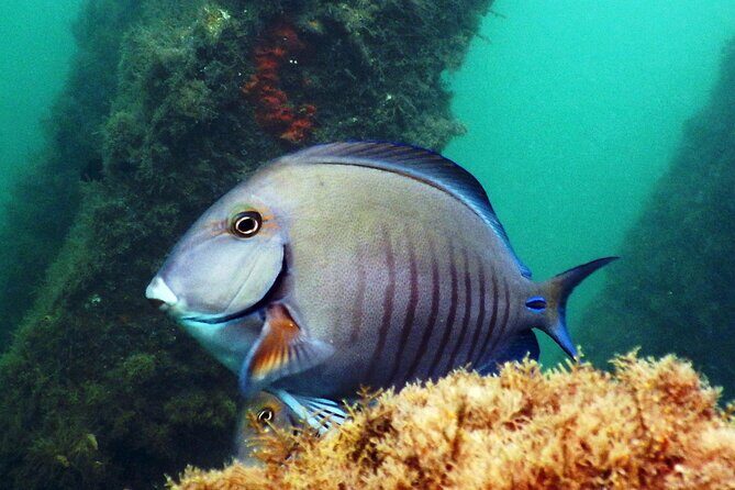 Experience Peanut Island Adventures with Go Pro - Final Thoughts