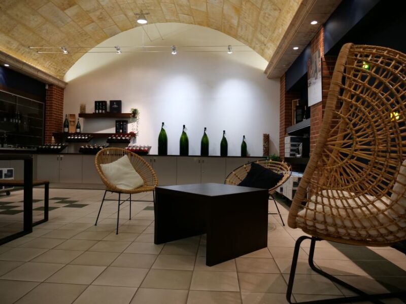 Expérience Prestige -Tour en français-Champagne Passy-Grigny - A Practical Look at the Champagne Experience in Passy-Grigny