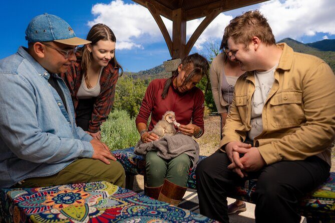 Experience Raptors and Falconry in Reno - An In-Depth Look at the Raptor Experience