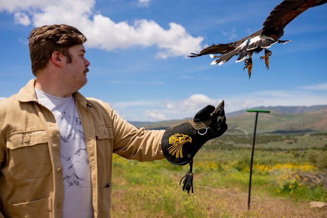 Experience Raptors and Falconry in Reno - Final Thoughts: Who Will Love This Tour?