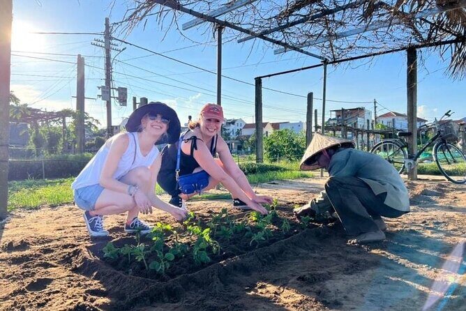 Experience Rural Life Cooking Class In Tra Que Vegetable Farm - Key Points