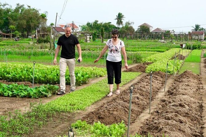 Experience Rural Life Cooking Class In Tra Que Vegetable Farm - Final Thoughts
