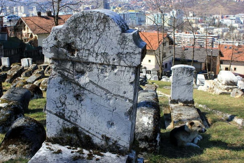 Experience Sarajevo: Spiritual Resistance during the Siege - FAQ