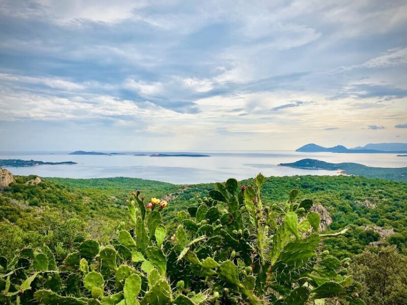 Experience Sardinia:North Coast Tour Between Sea and History - A Genuine Guide to the North Coast of Sardinia