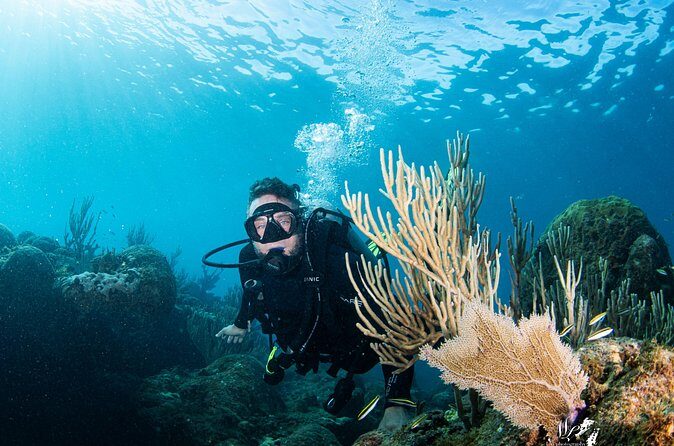 Experience Scuba - The Itinerary in Detail