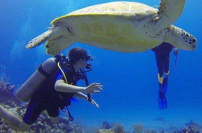 Experience Scuba Diving / NO certification Needed - Who Will Love This Experience?