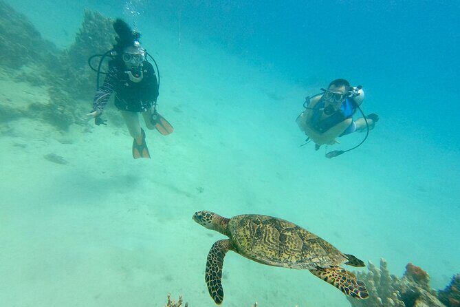 Experience Scuba Diving - No Certification Needed! - Practical Considerations