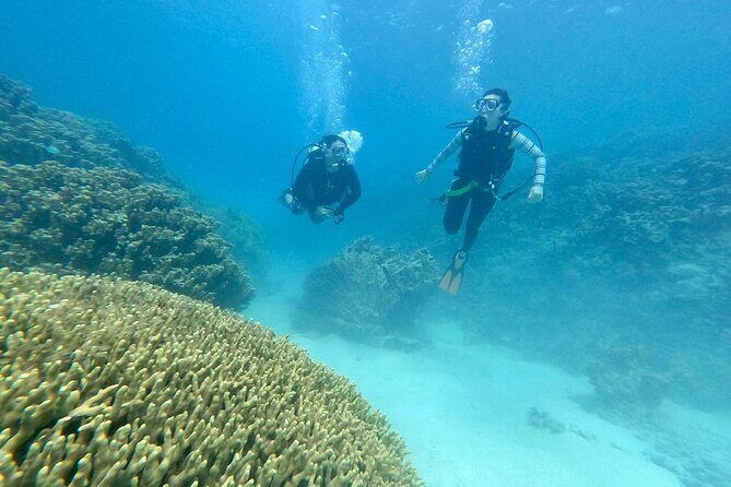 Experience Scuba Diving - No Certification Needed! - Final Thoughts