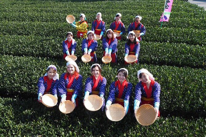 Experience Seasonal Green Tea Picking in Sayama and Nostalgic Walk in Kawagoe! - Introduction: A Taste of Tradition and Nostalgia